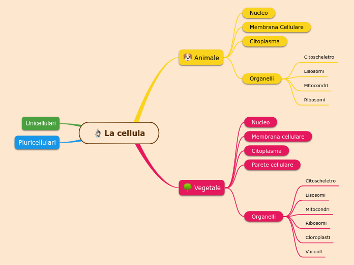 La cellula - Mind Map